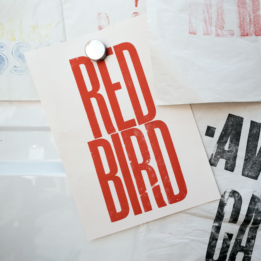 Red Bird Youth Collective 2024 | Galway Arts Centre