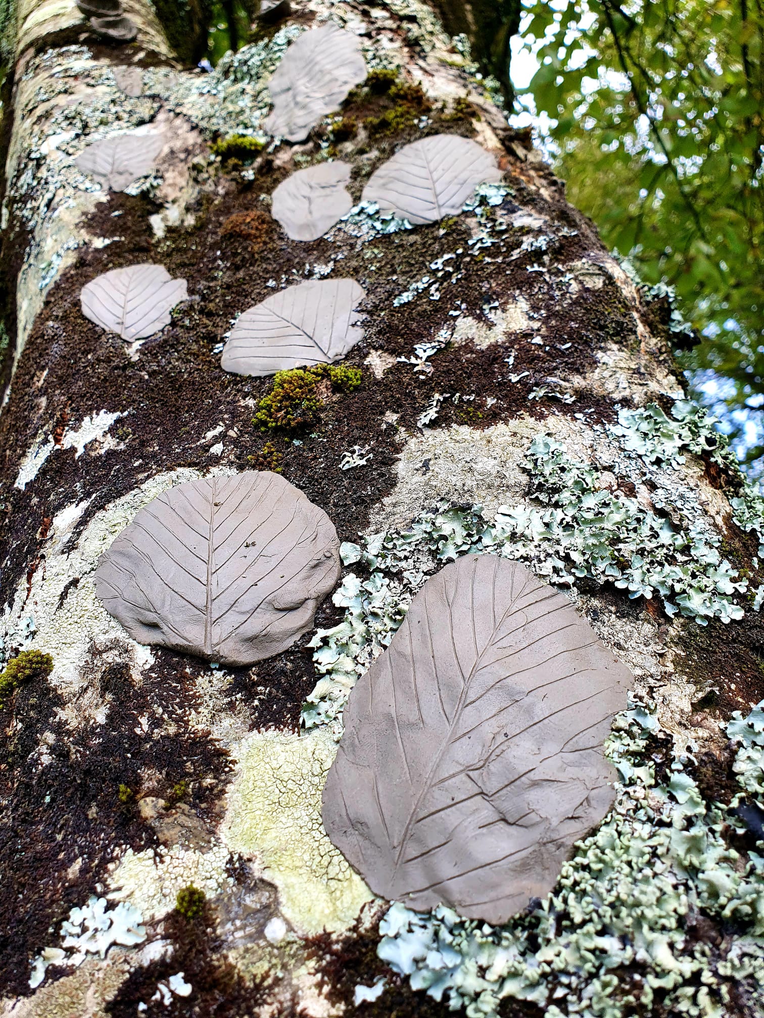 Ceramics in Nature | Galway Arts Centre
